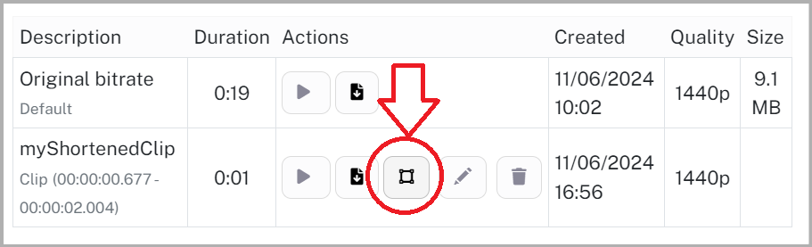 Redacting videos